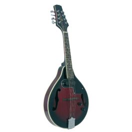 Johnny Roadhouse Music - Blue Moon Electro Acoustic Mandolin